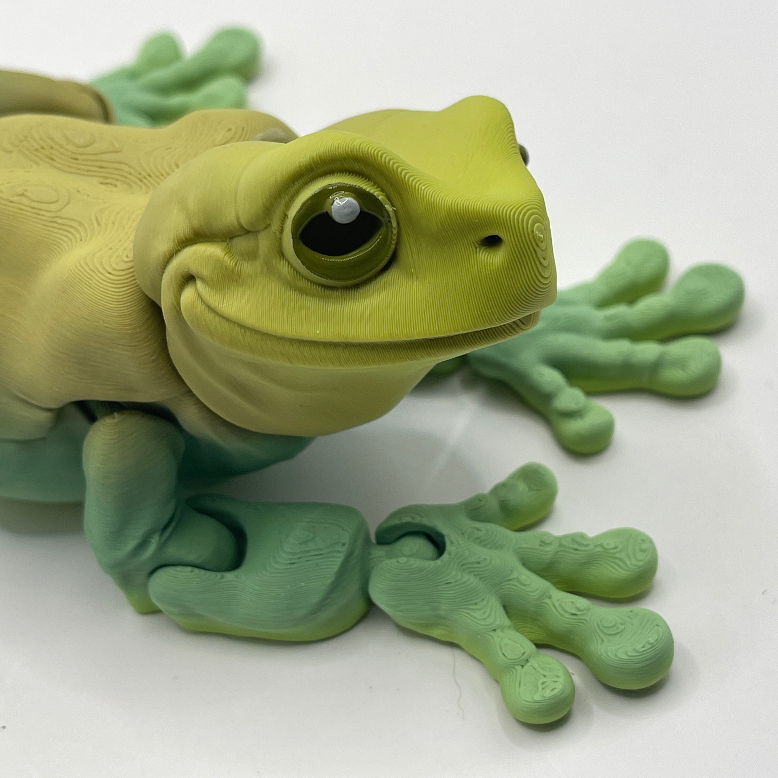 3D Printed Magnetic Tree Frog - NZ made and hand painted – 3D Fantasy