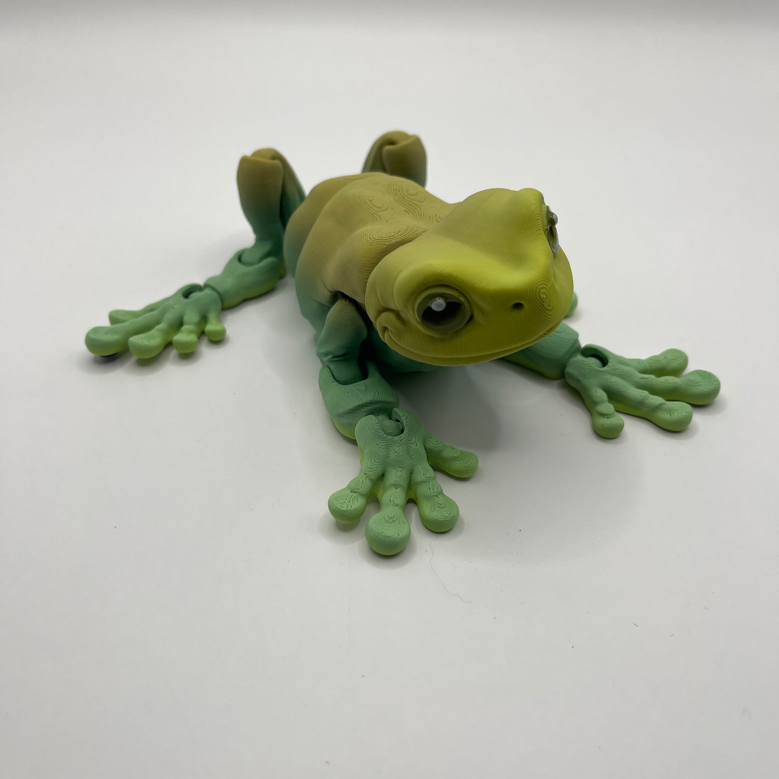 3D Printed Magnetic Tree Frog - NZ made and hand painted – 3D Fantasy